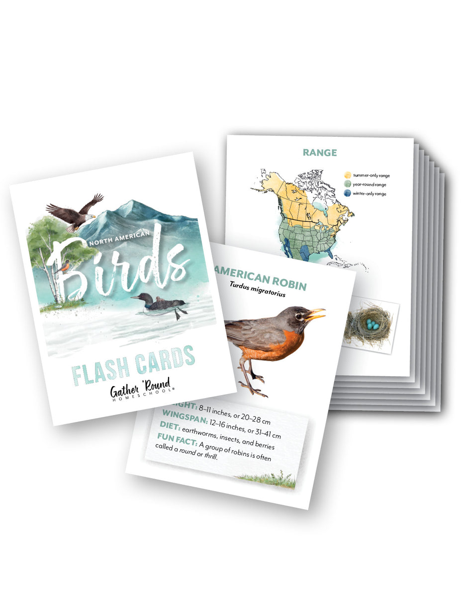 North American Birds Part 2 Flashcards – Gather 'Round Homeschool USA