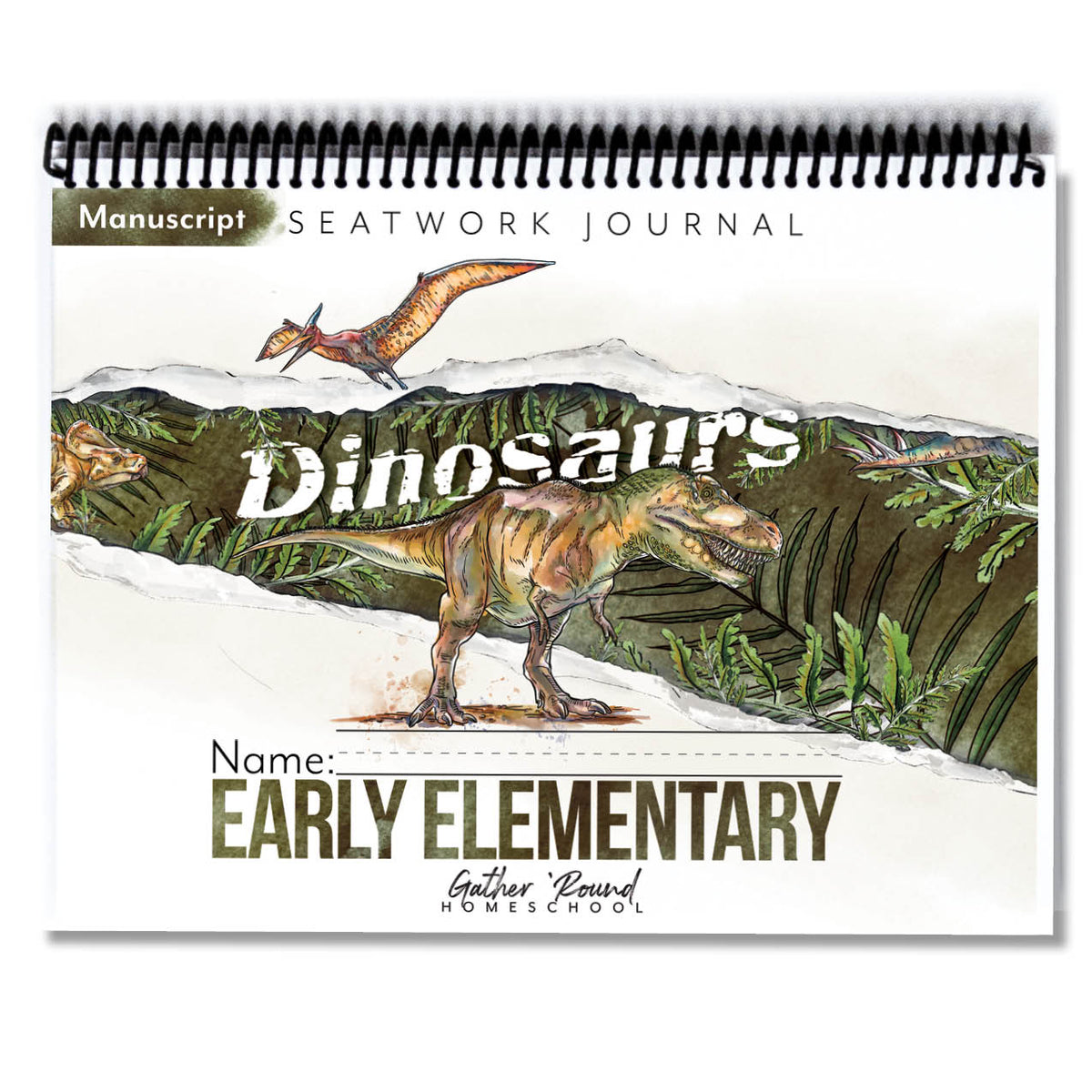 Dinosaurs Printed Seatwork Books - Manuscript / Early Elementary ...