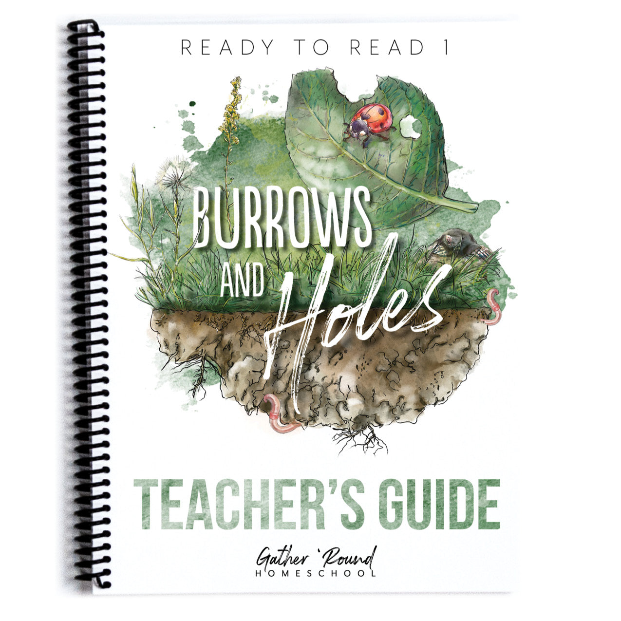 Ready to Read 1 – Gather 'Round Homeschool USA
