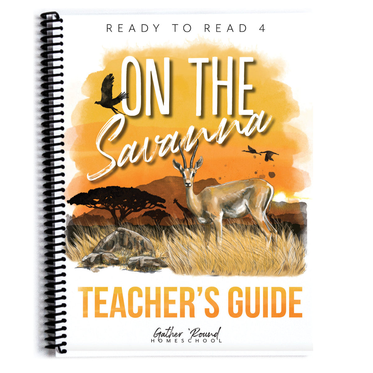 Ready to Read 4 – Gather 'Round Homeschool USA