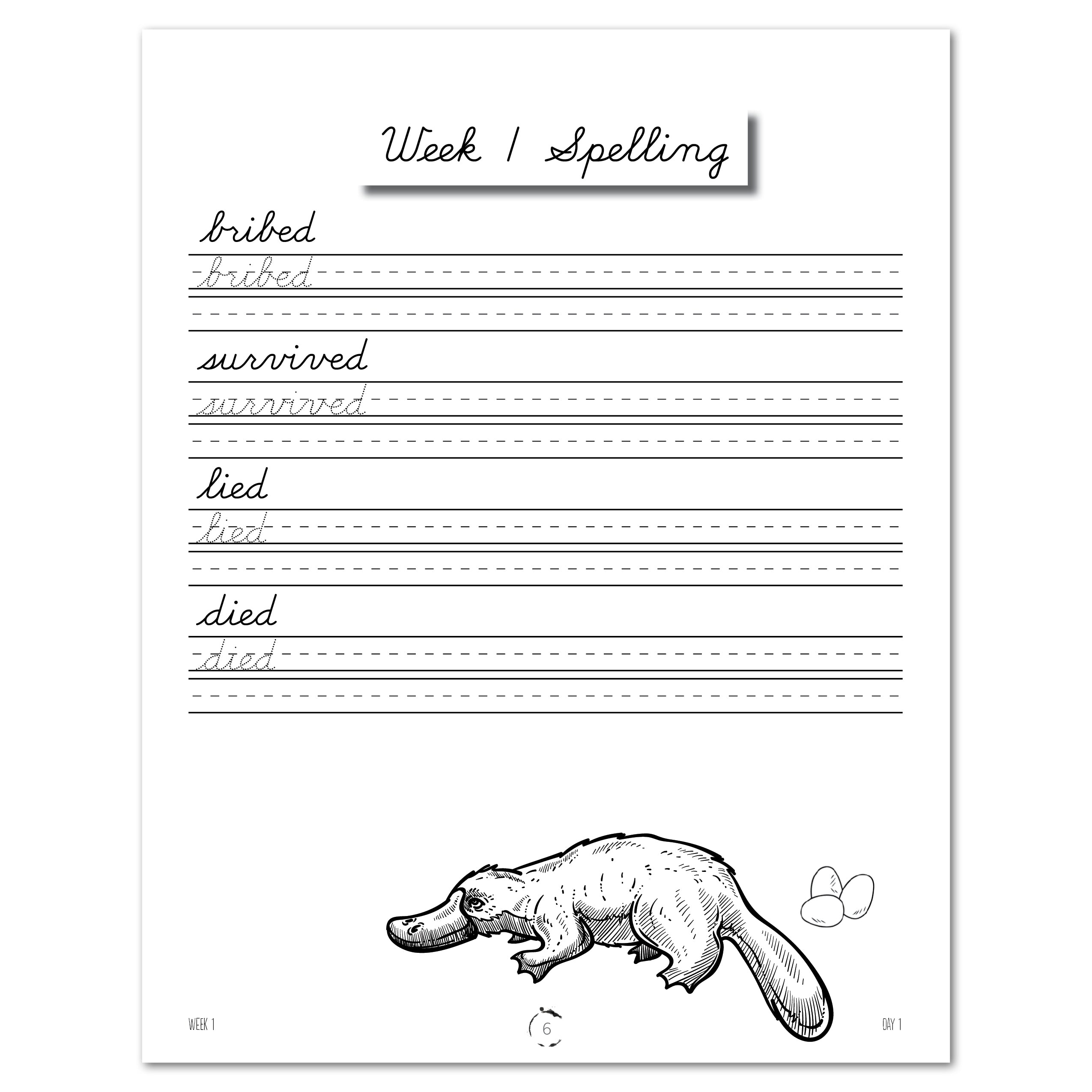 Australia + Oceania Cursive Writing Book (Printed) – Gather 'Round ...