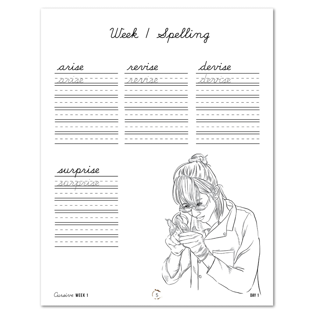 Creepy Crawlies Cursive Writing (Digital Download) – Gather 'Round ...