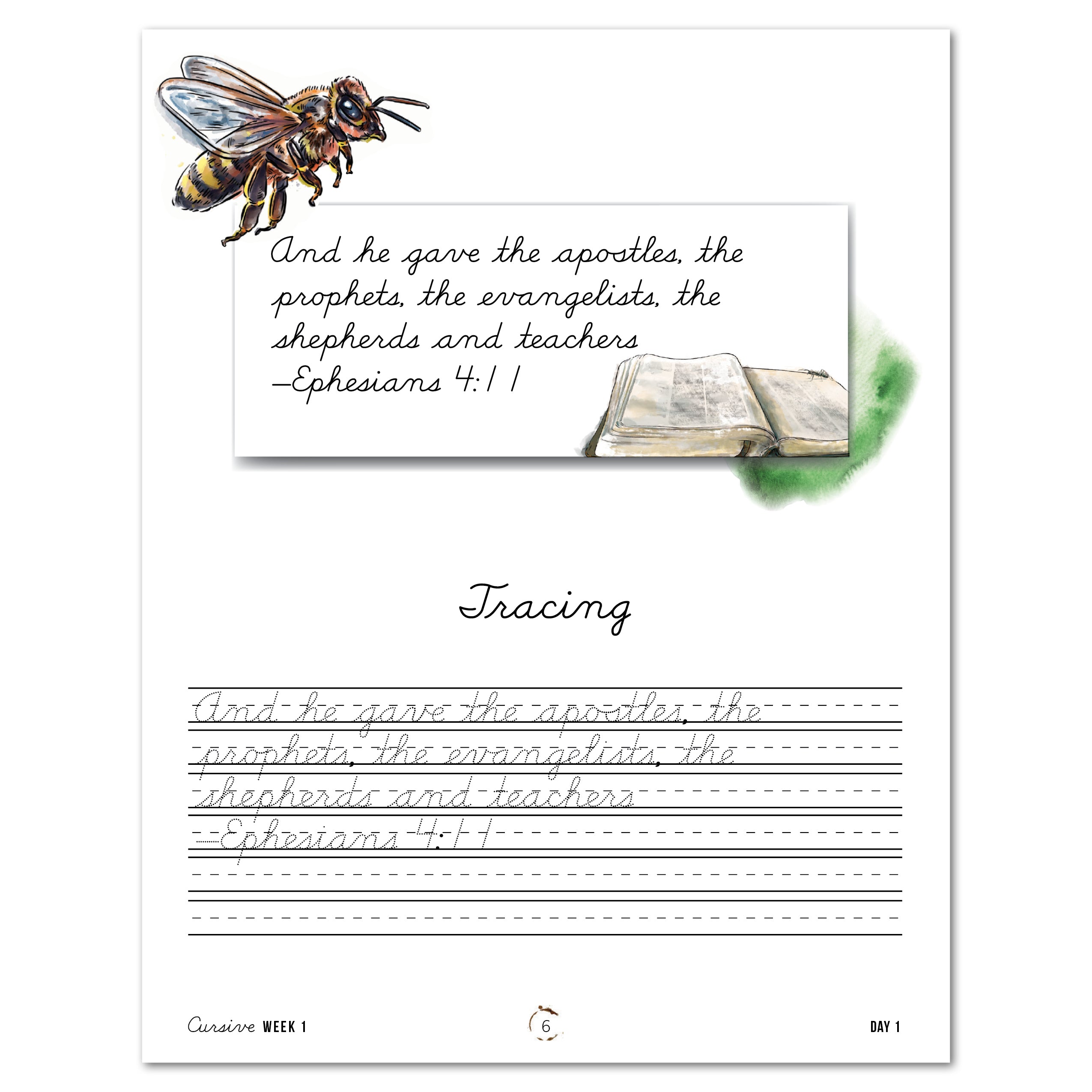 Creepy Crawlies Cursive Writing (Digital Download) – Gather 'Round ...