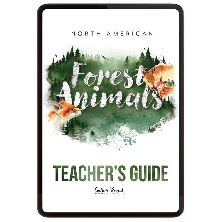 North American Forest Animals – Gather 'Round Homeschool USA