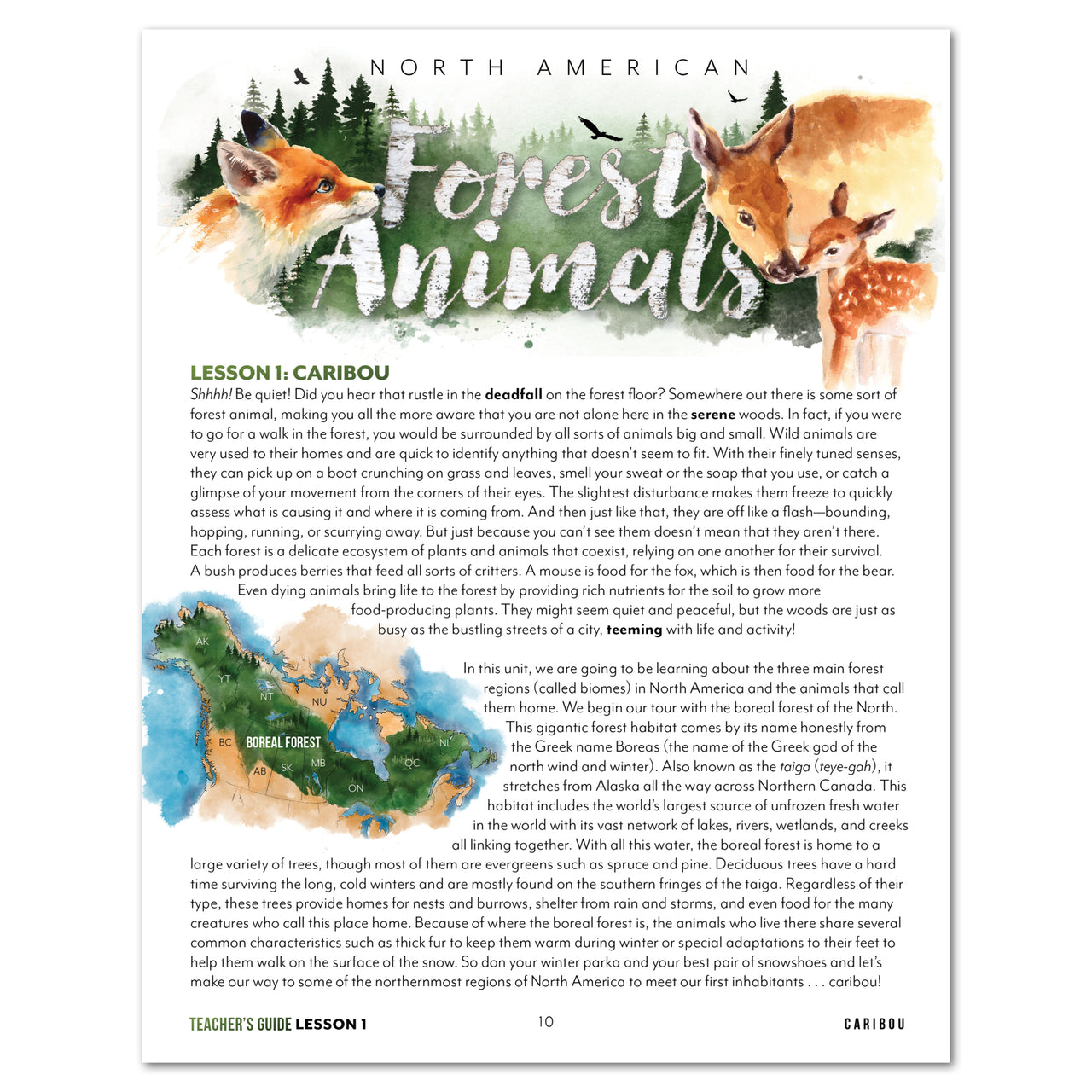 North American Forest Animals Unit (Digital Bundles) – Gather 'Round ...