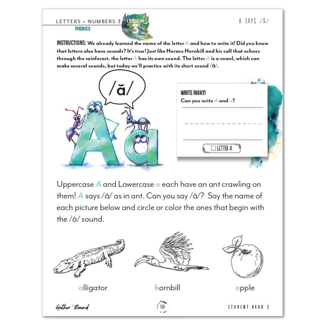 Letters + Numbers 3: Digital Bundle – Gather 'Round Homeschool USA