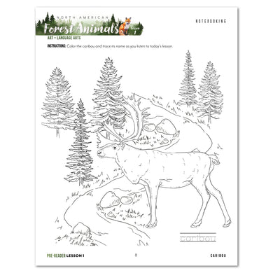 North American Forest Animals Unit (Digital Bundles) – Gather 'Round ...