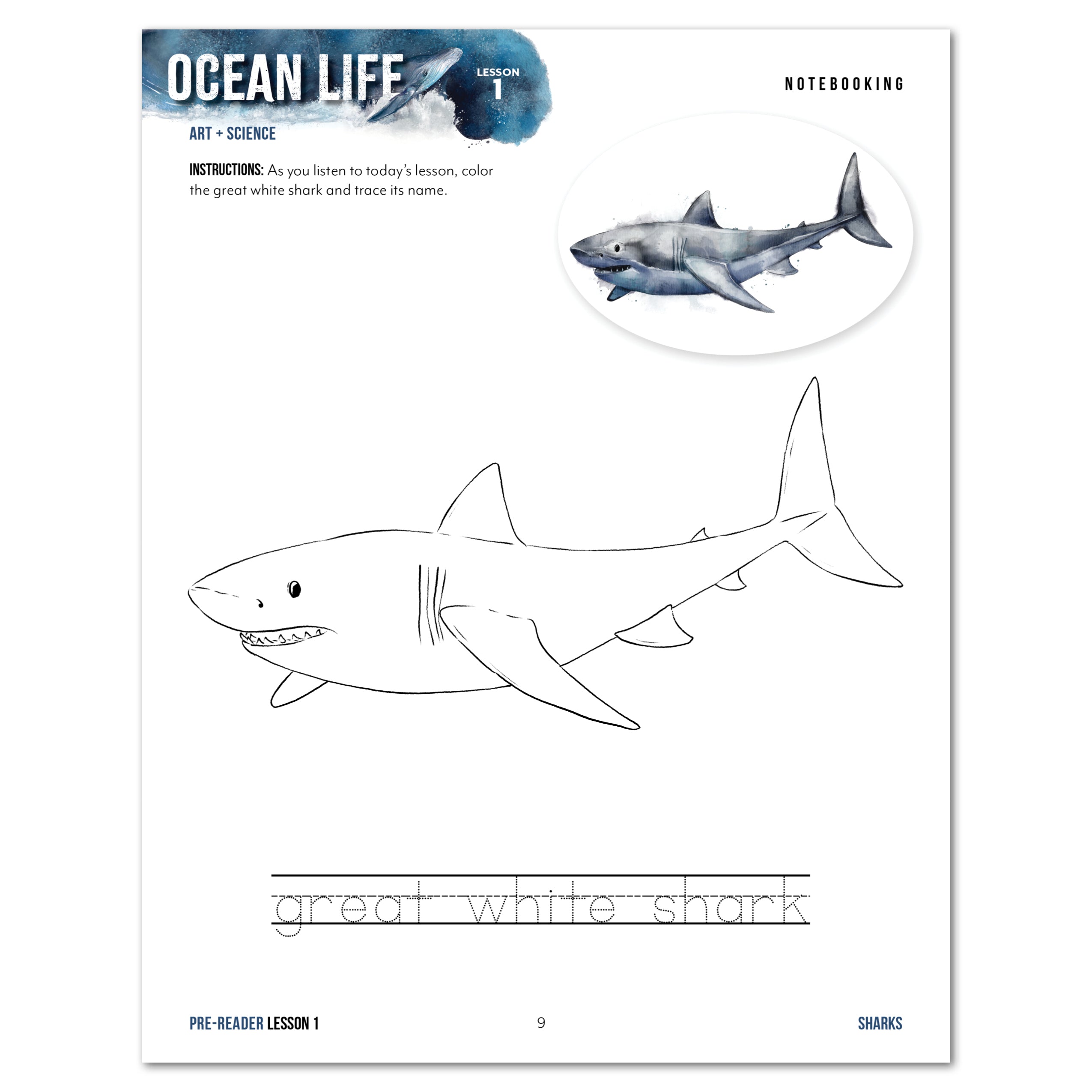 Ocean Life Unit (Digital Bundles) – Gather 'Round Homeschool USA