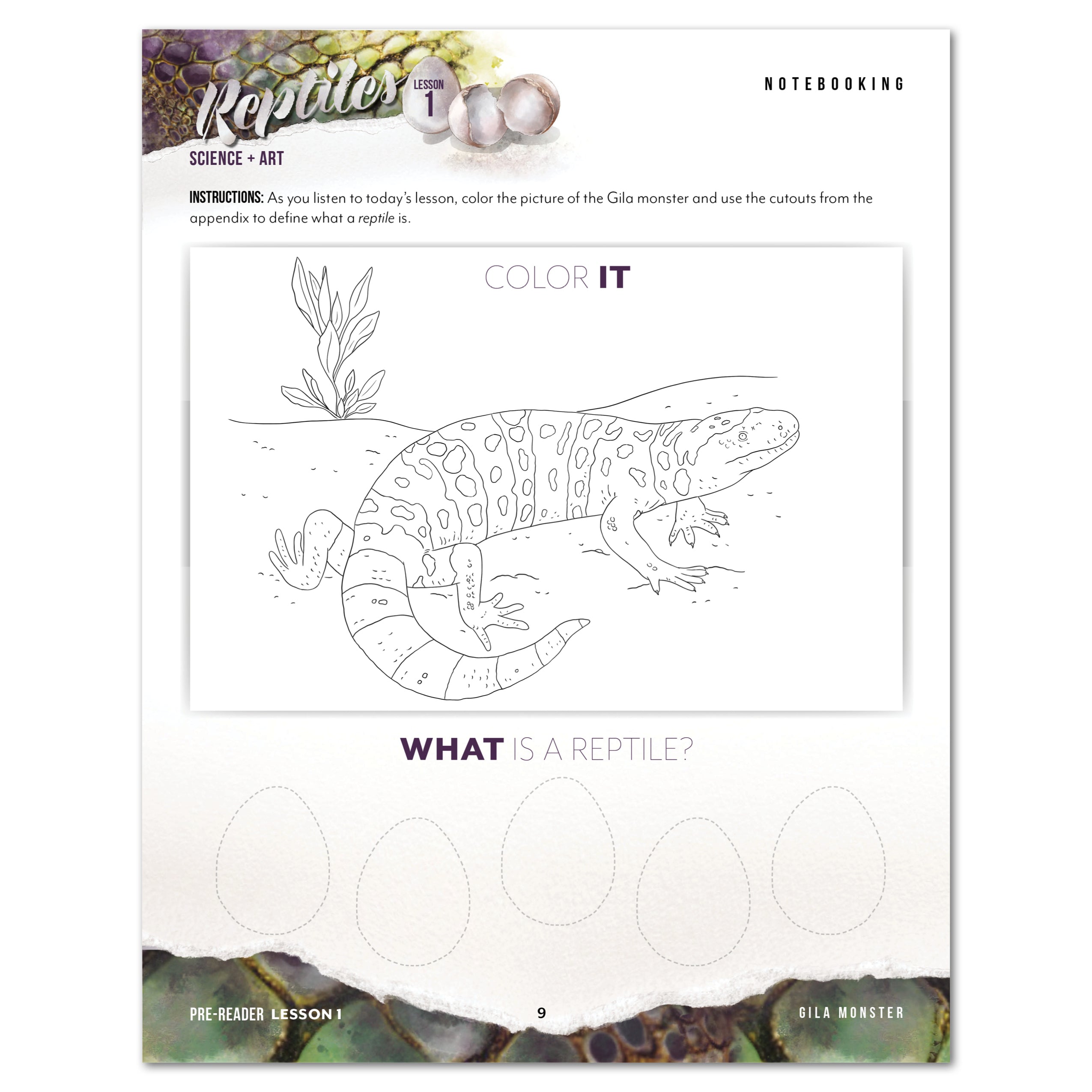 Reptiles Unit Study for All Ages! – Gather 'Round Homeschool USA