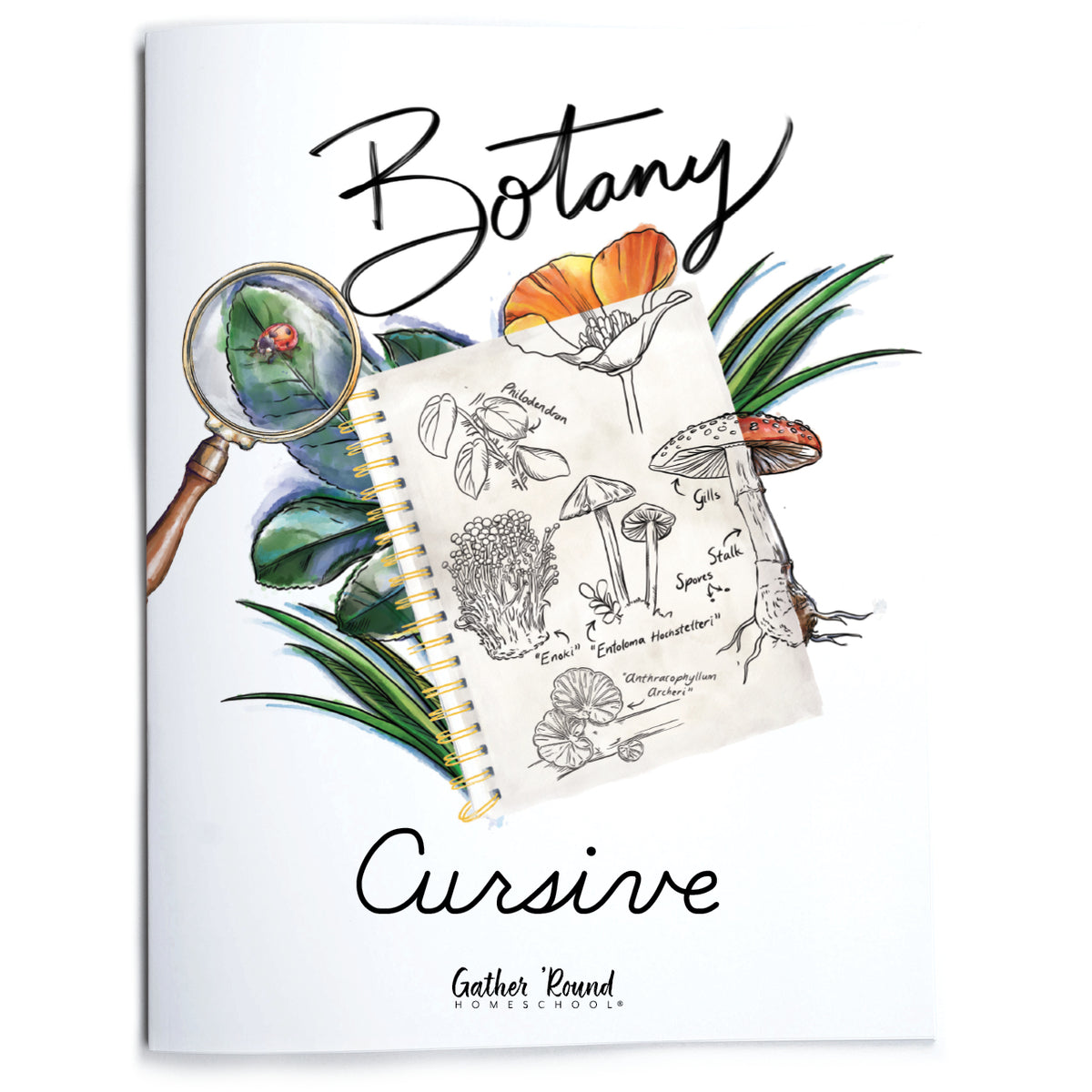 Botany Cursive Writing Book – Gather 'Round Homeschool USA