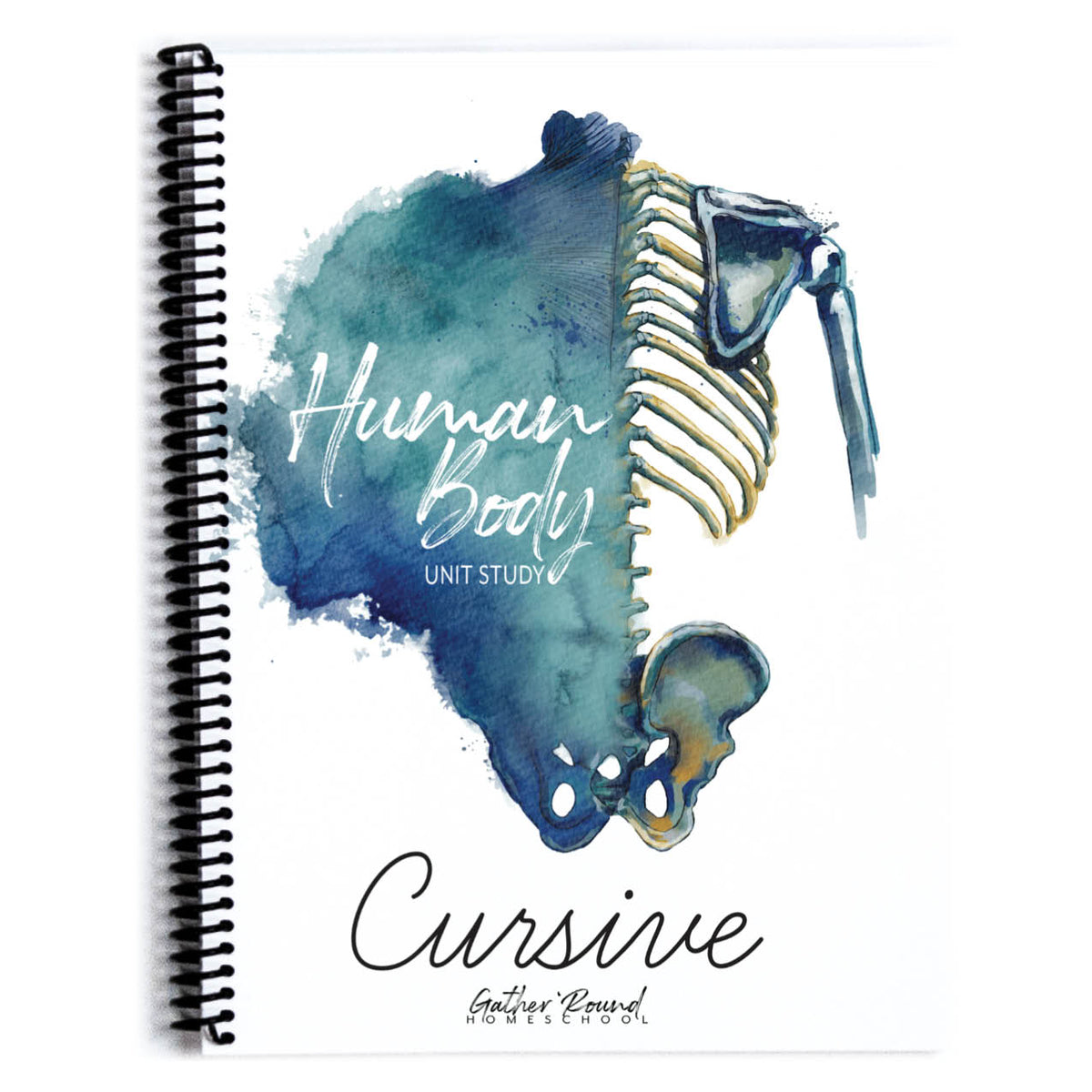 Human Body Cursive Writing Book – Gather 'Round Homeschool USA