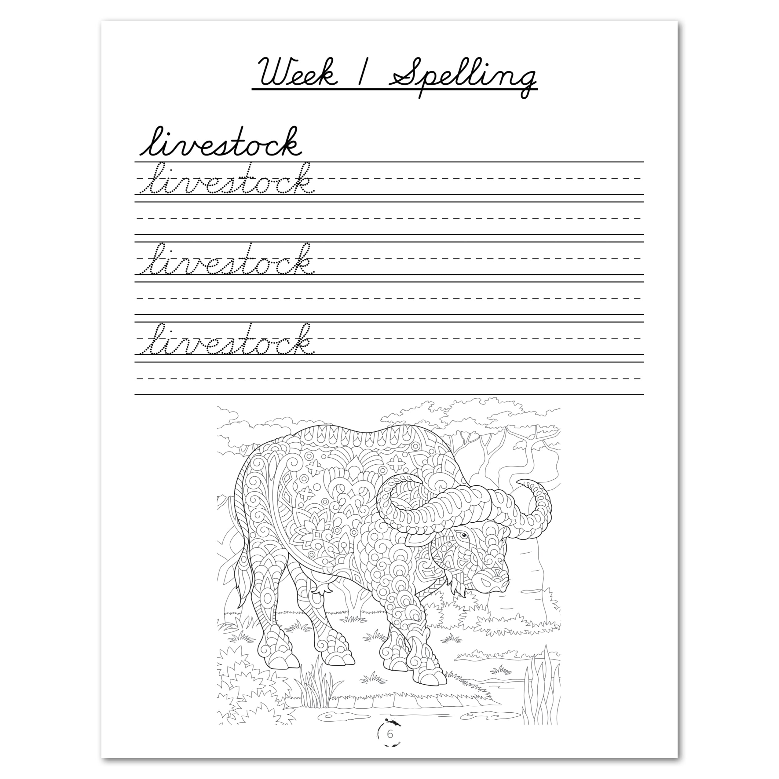 Human Body Cursive Writing (Digital Download) – Gather 'Round ...