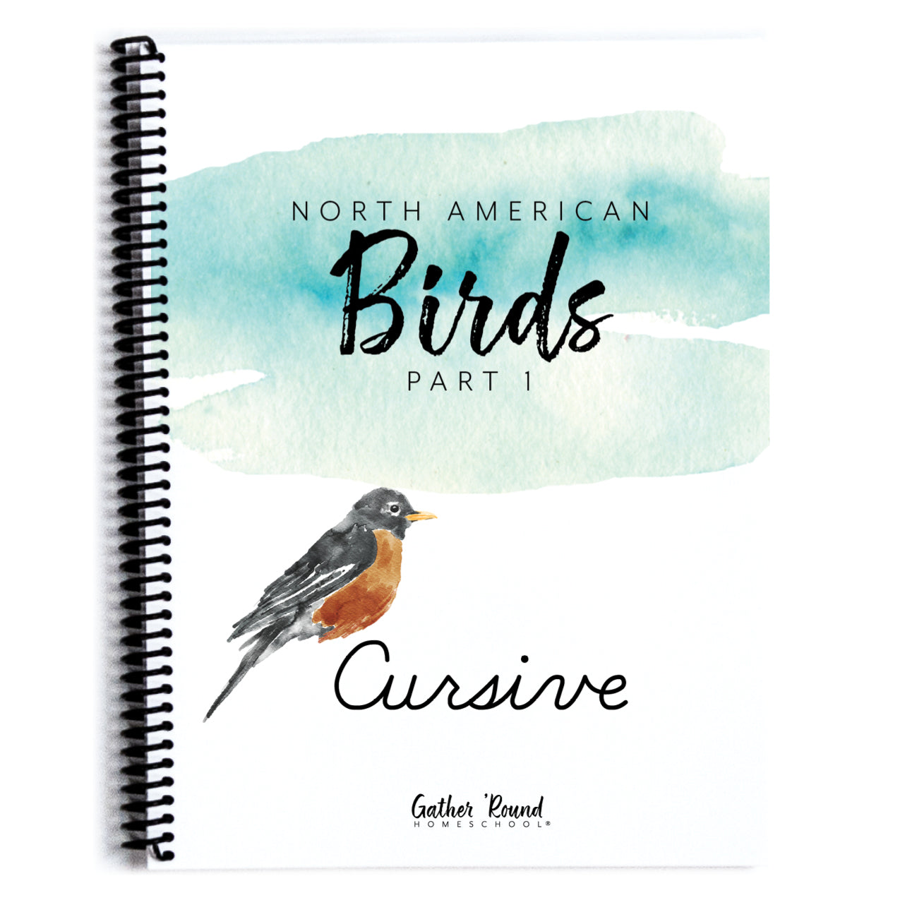 North American Birds Part 1 Cursive Writing Book – Gather 'Round ...