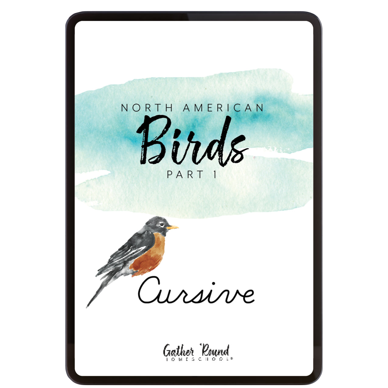 North American Birds Part 1 Cursive Writing Book – Gather 'Round ...