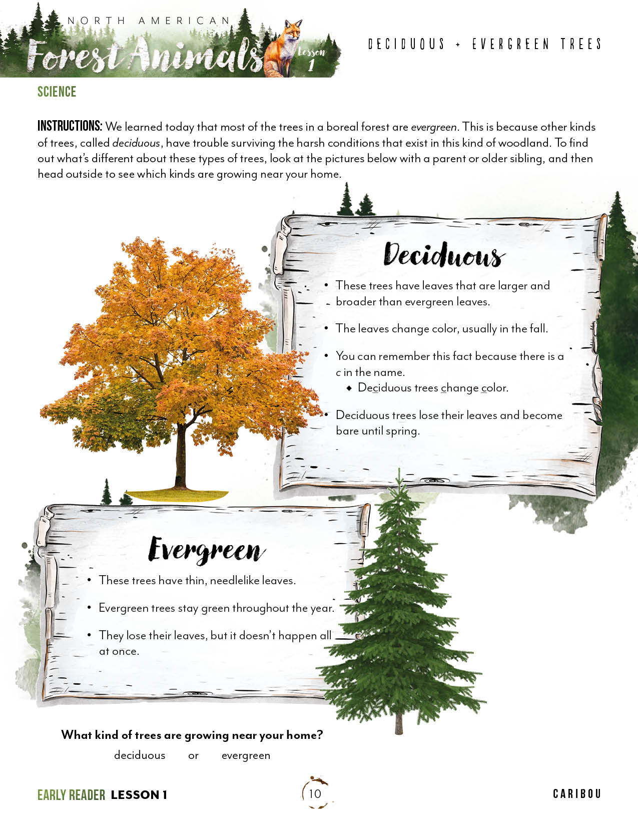 North American Forest Animals – Gather 'Round Homeschool USA