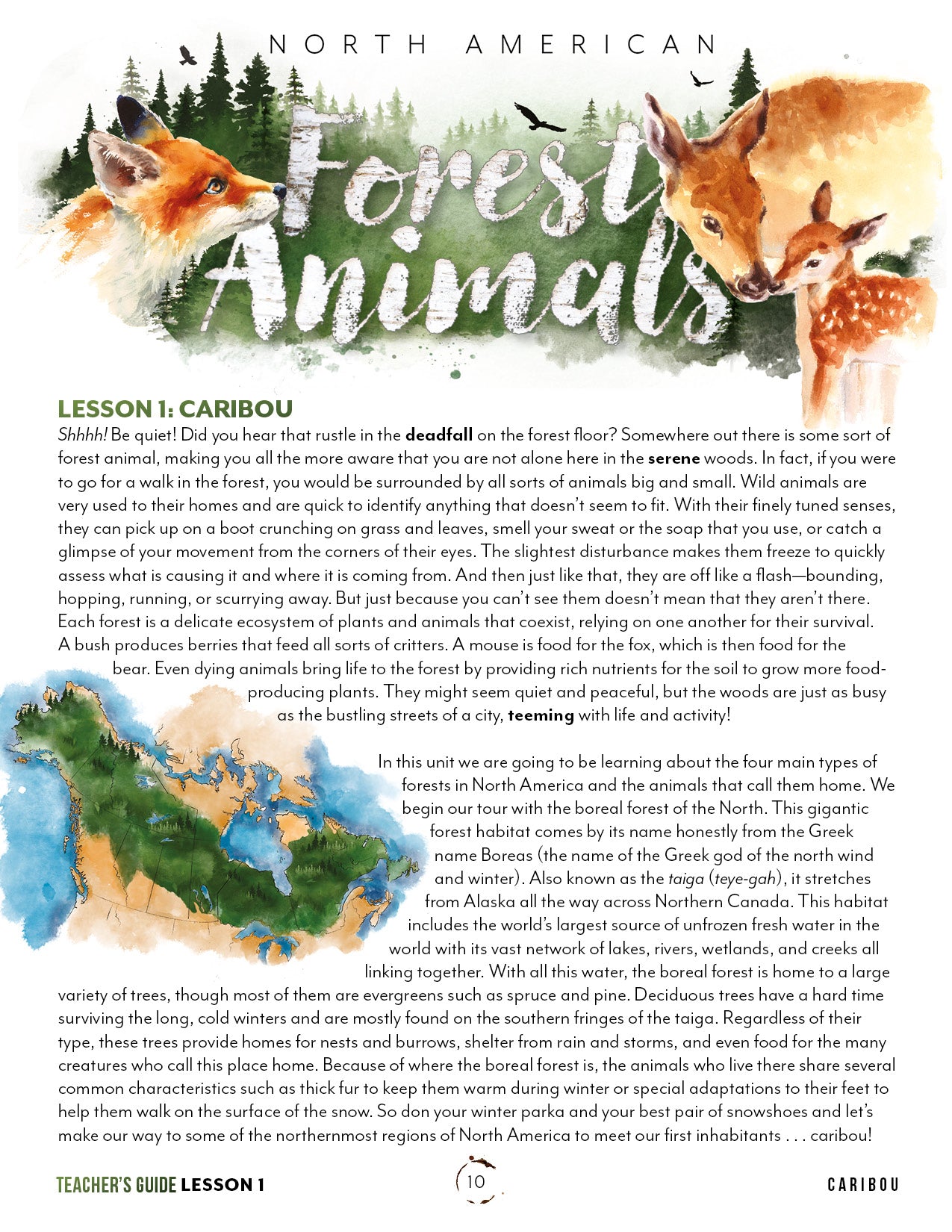 North American Forest Animals – Gather 'Round Homeschool USA