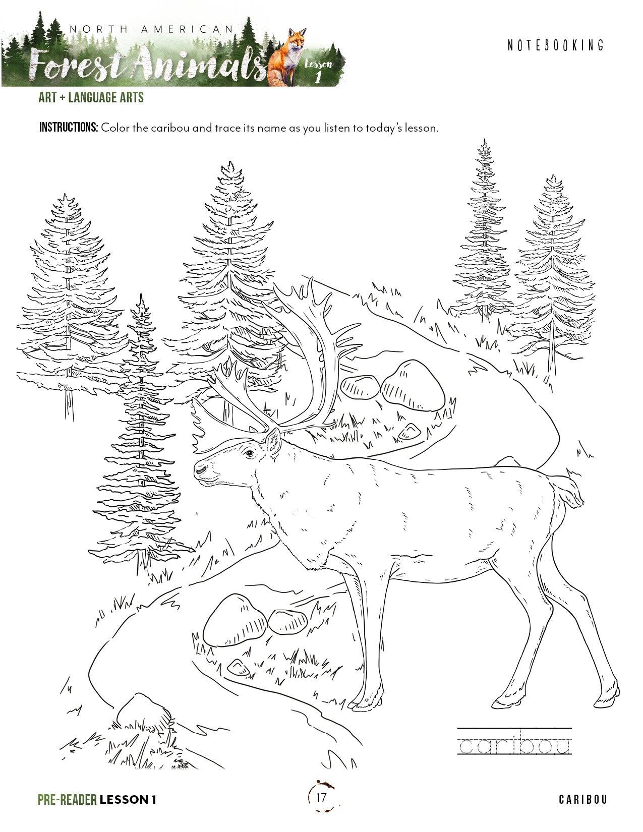 North American Forest Animals – Gather 'Round Homeschool USA