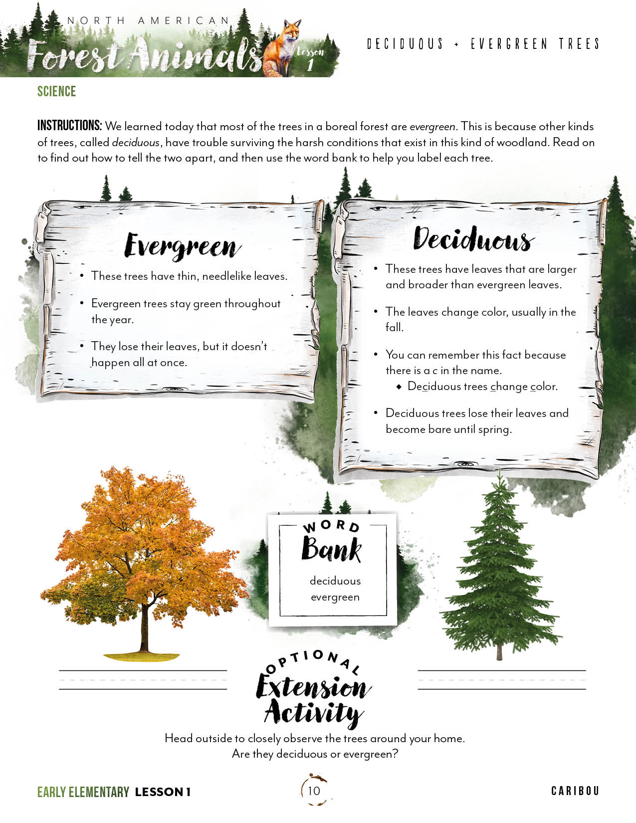 North American Forest Animals – Gather 'Round Homeschool USA