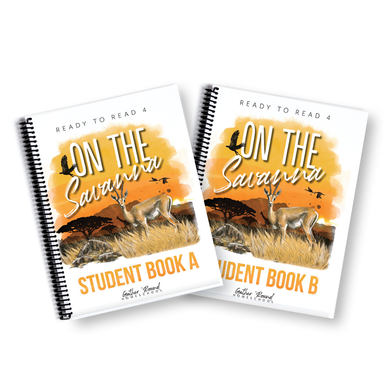 Ready to Read 4 – Gather 'Round Homeschool USA