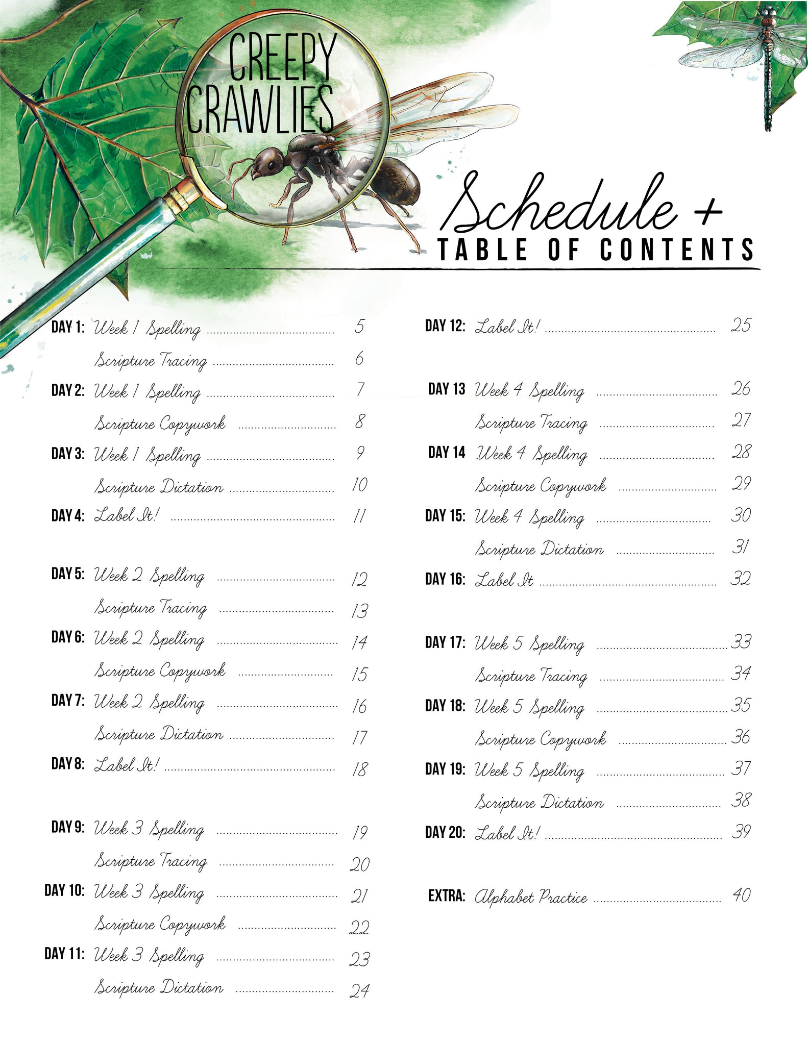 Creepy Crawlies Cursive Writing Book – Gather 'Round Homeschool USA