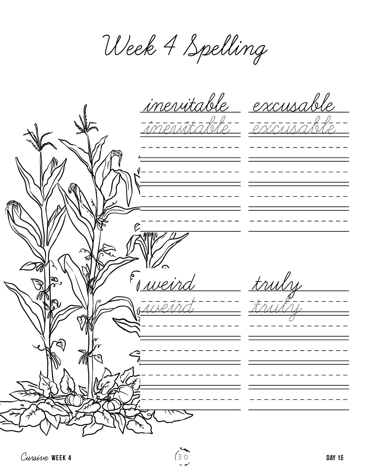 Farming + Food Cursive Writing Book – Gather 'Round Homeschool USA