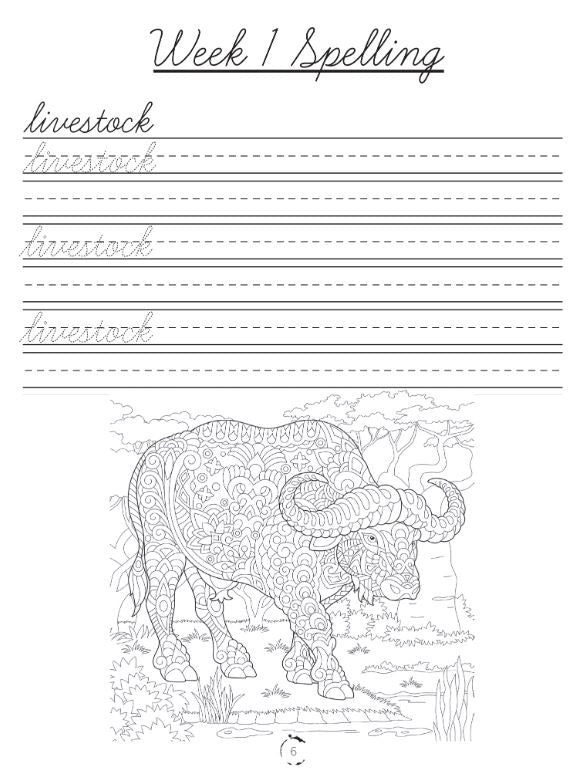 Human Body Cursive Writing Book – Gather 'Round Homeschool USA