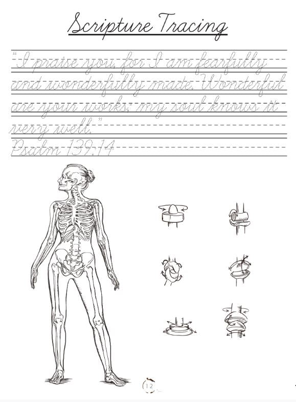 Human Body Cursive Writing Book – Gather 'Round Homeschool USA