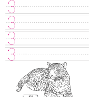 Letters + Numbers 3: Handwriting Book – Gather 'Round Homeschool USA
