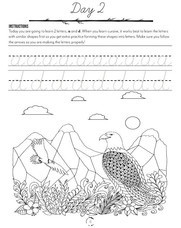 North American Birds Part 1 Cursive Writing Book – Gather 'Round ...